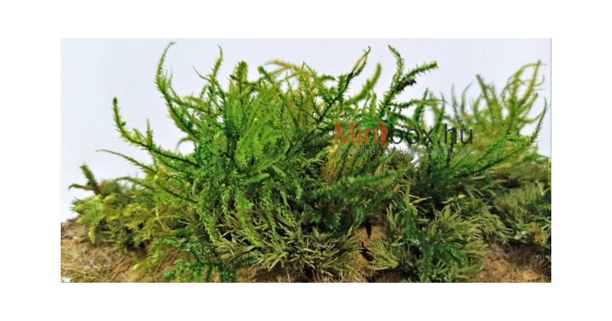 DioramaPresepe dip53016 Lenny bush green bush for diorama - cserje ...
